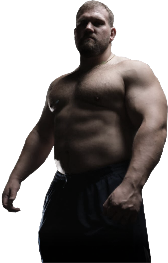 This is simply the best Sheiko program you can find - Sheiko Gold