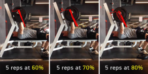 Essentials of Sheiko Programs - Sheiko Gold