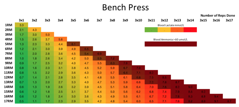 Essentials of Sheiko Programs - Sheiko Gold